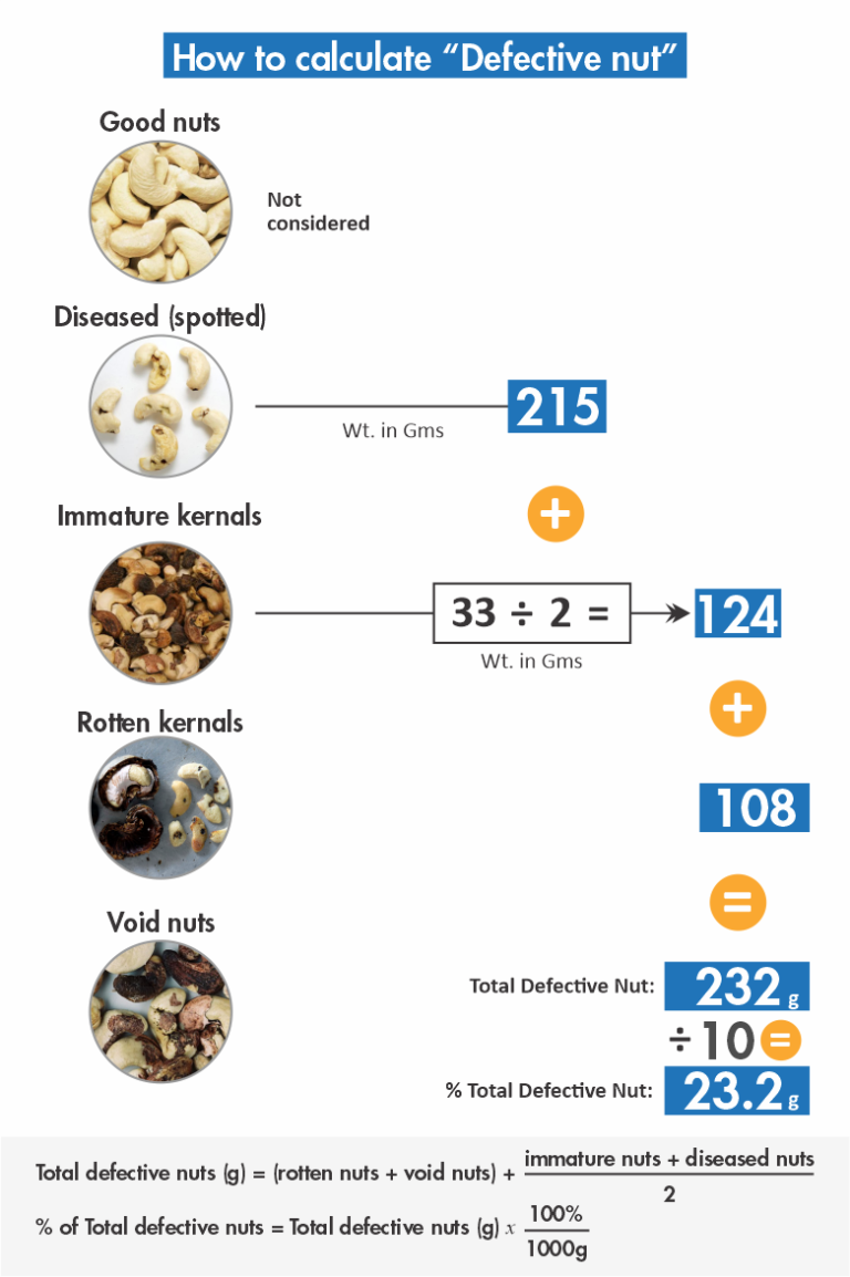 How to Check Quality of Raw Cashew Nuts - A Comprehensive Guide